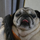 Forbidden Morals | VOID