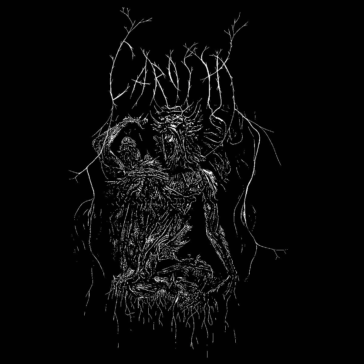 Albe Doer | The Pilgrims of Carossa