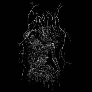 Music | The Pilgrims of Carossa