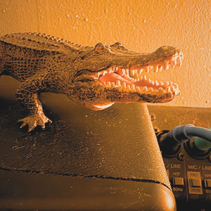 Music | inside.gator