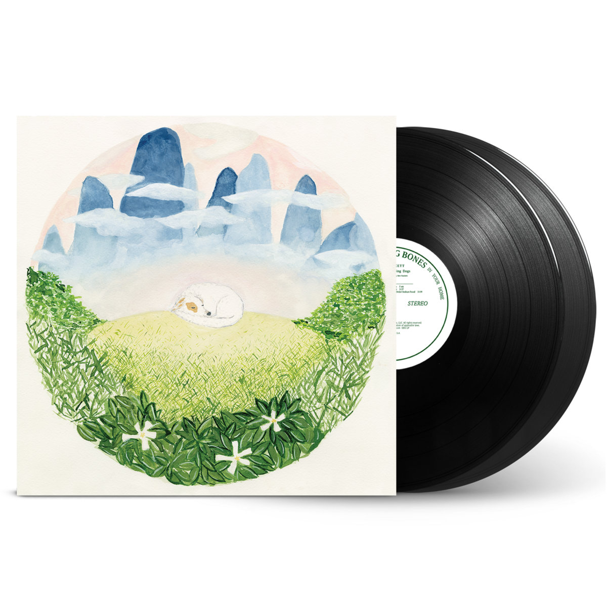 Songs for Sleeping Dogs | Ben Hackett