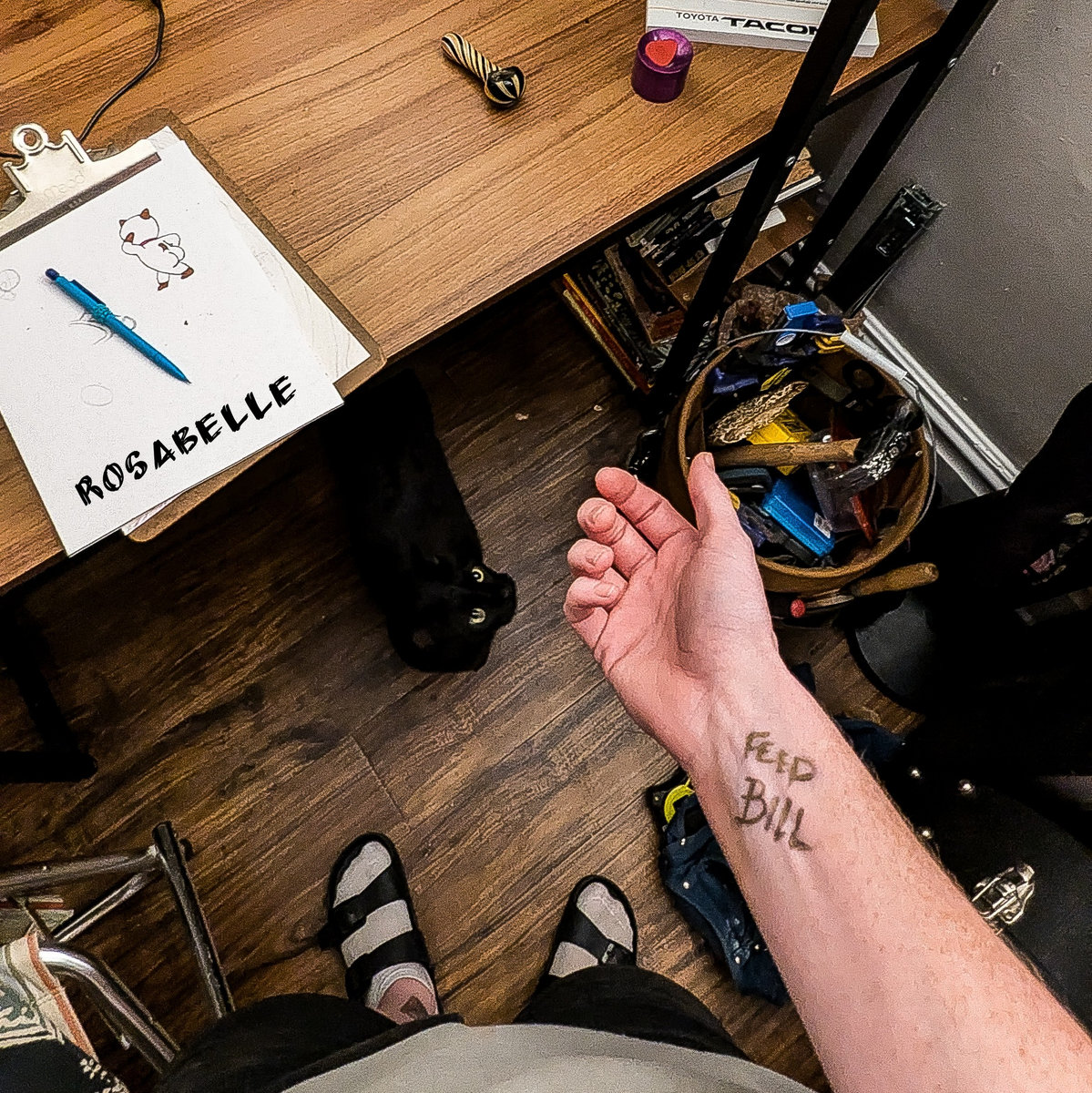 Feed Bill | Rosabelle