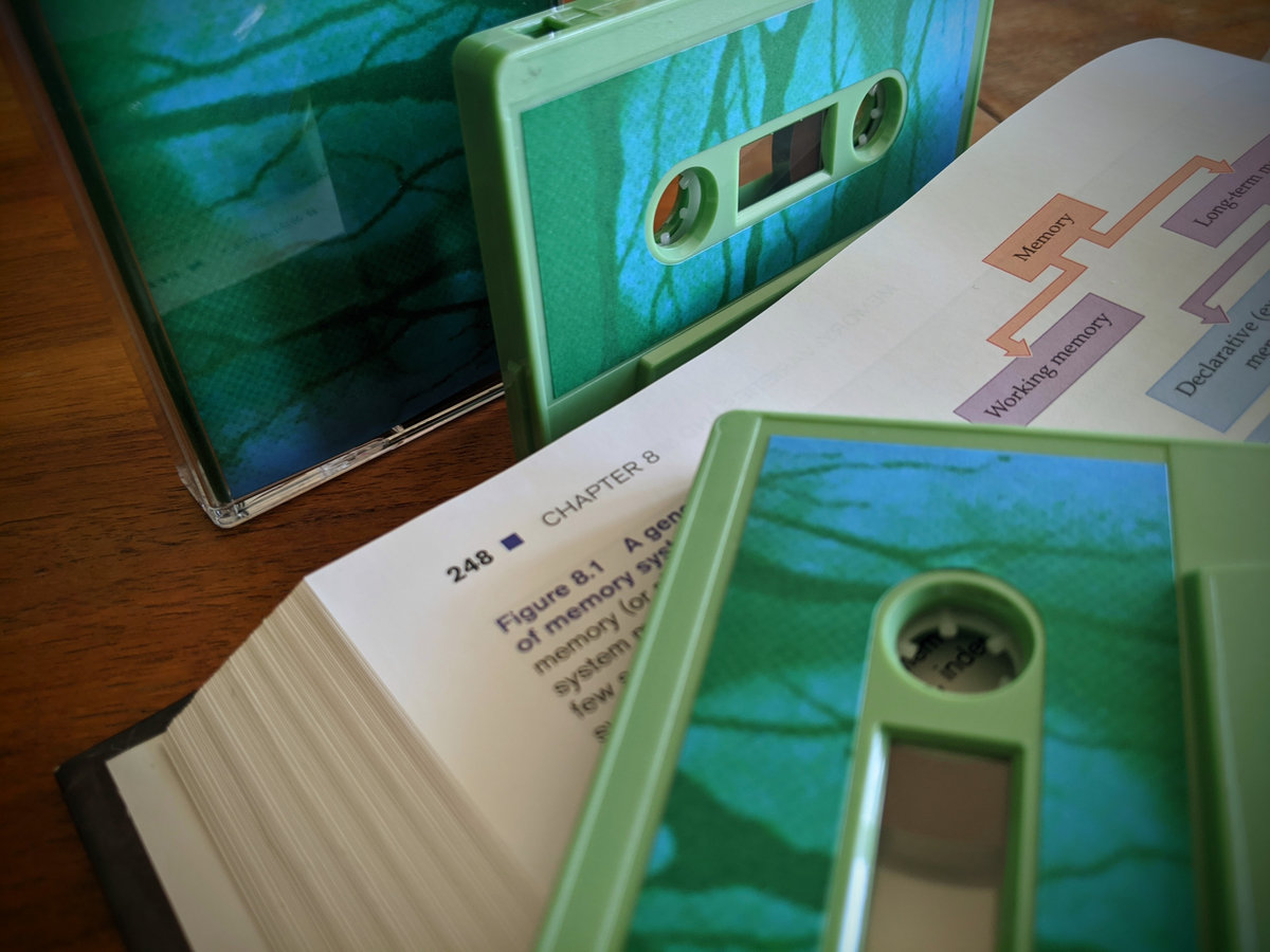 false memories | ogle | Mabui Music