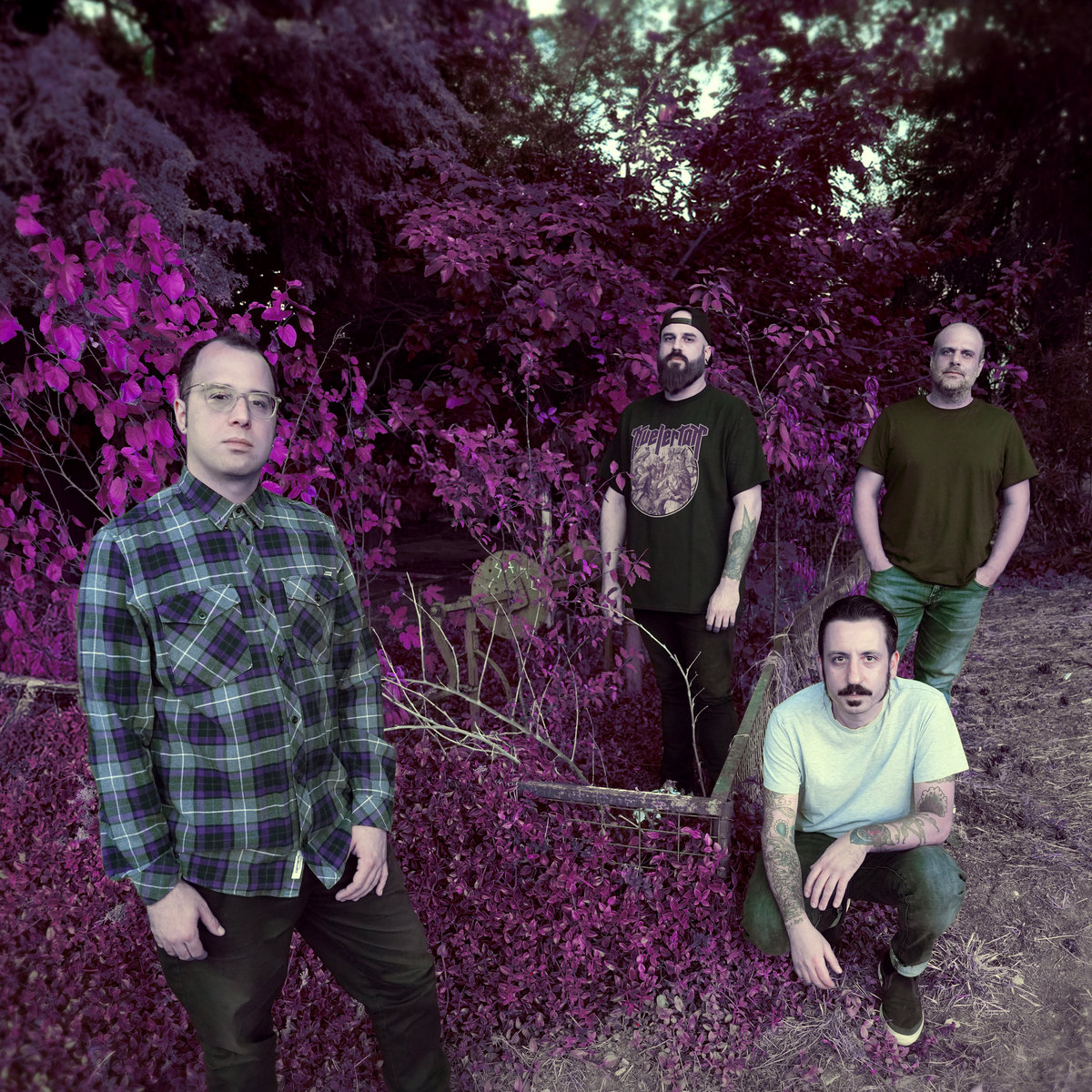 Fleshy Waves of Probability | Calyces