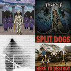 Here To Destroy | SPLIT DOGS