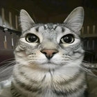 ULTRAKILL: PANDEMONIUM/WAR | Heaven Pierce Her