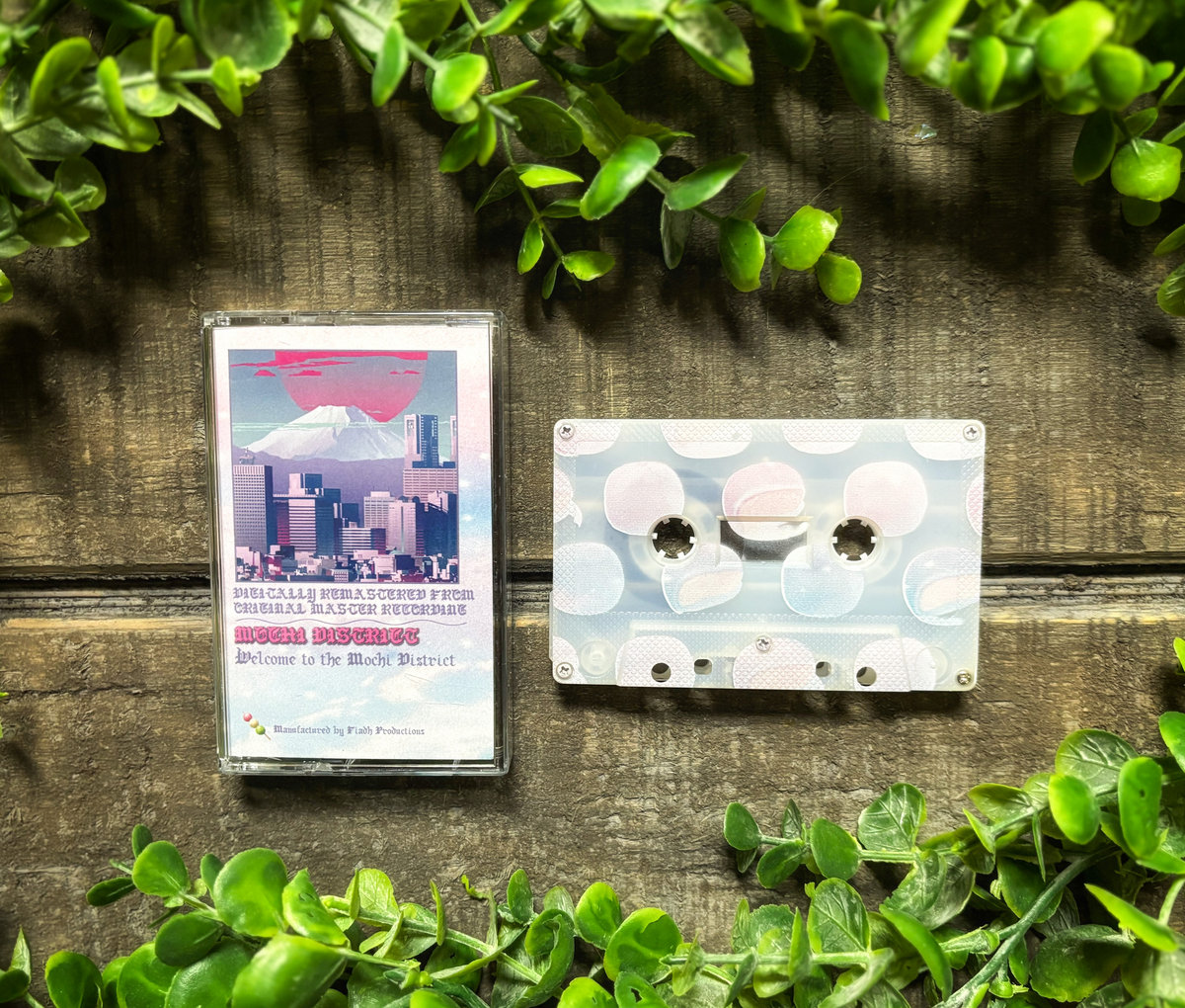 Welcome to the Mochi District | Mochi District | Fiadh Productions