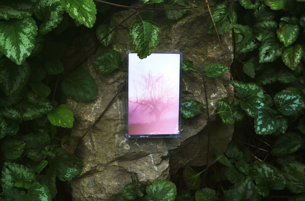 Divination Systems | Jordan Christoff