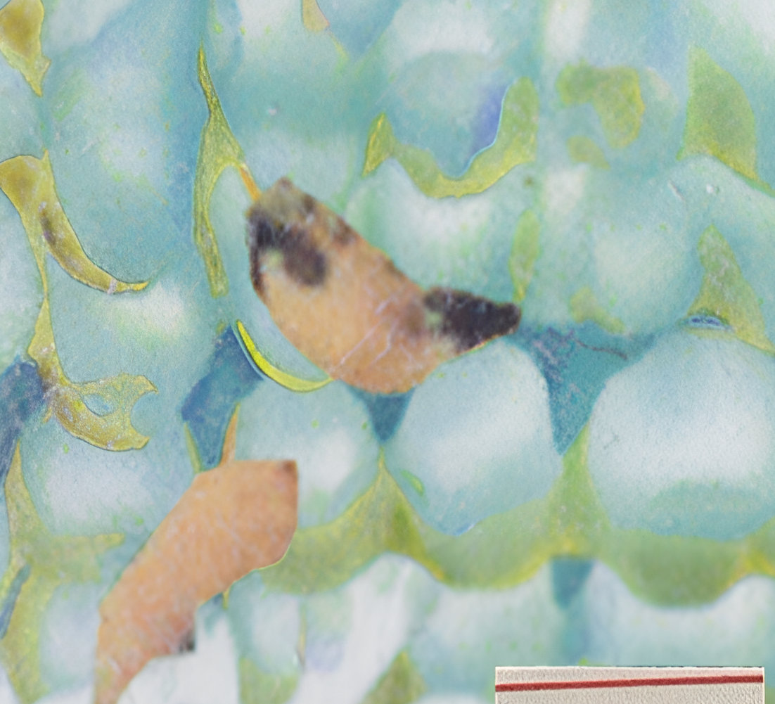 find my friends | find my friends