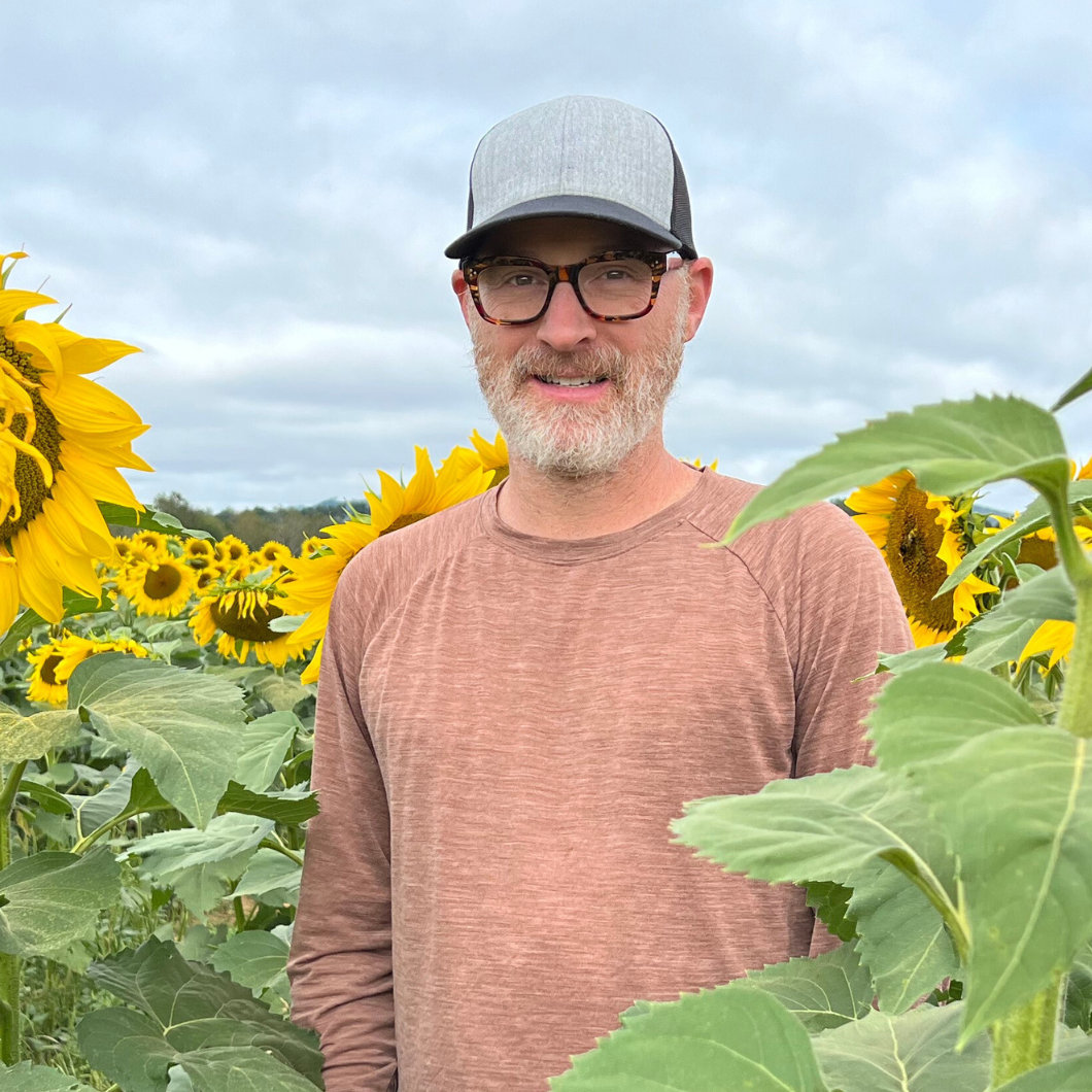 Passages | David Rhodes