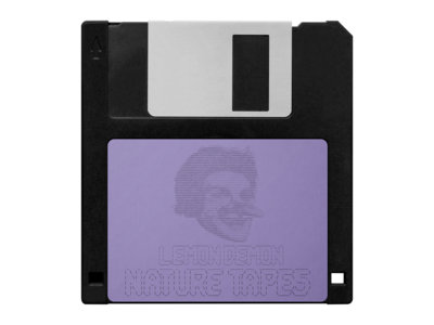 Nature Tapes Floppy Disk | Needlejuice Records