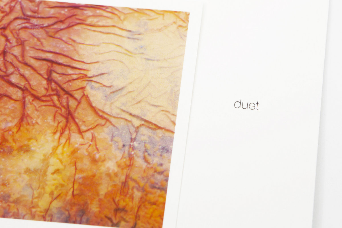 Duet | Tomoyoshi Date and Bill Seaman | quiet details
