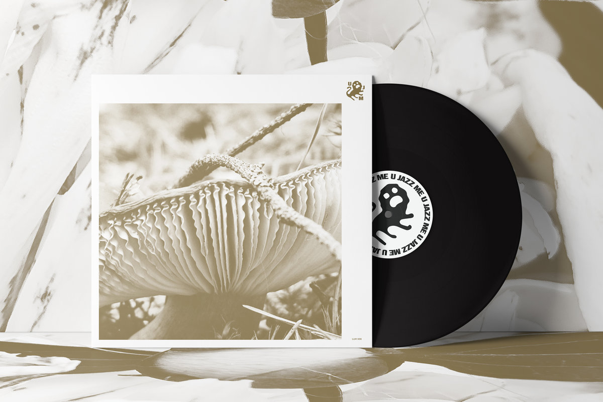 Rise & Bloom | Late Night Poems