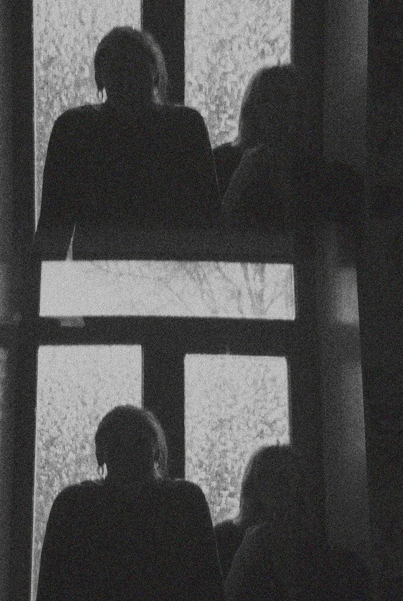 tape1 | the body of a swan