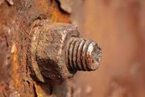 Music | The Rusty Nuts