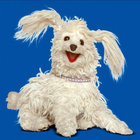 Early Singles (1981 - 1982) | Xmal Deutschland