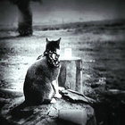 7 Songs For Spiders | Dax Riggs