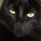 Graveyard Orbit | DILK