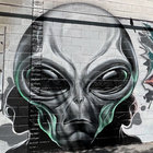 The Manic Excessive Sounds Of | The Warlocks