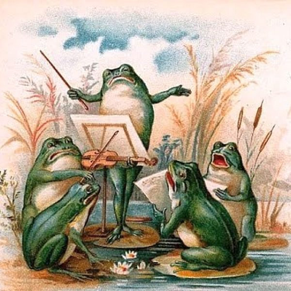 Żaby į Żabowiska - The Calls of Frogs and Toads | Frog Chorus Records