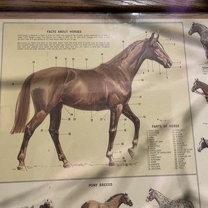 Music | gusano bonito