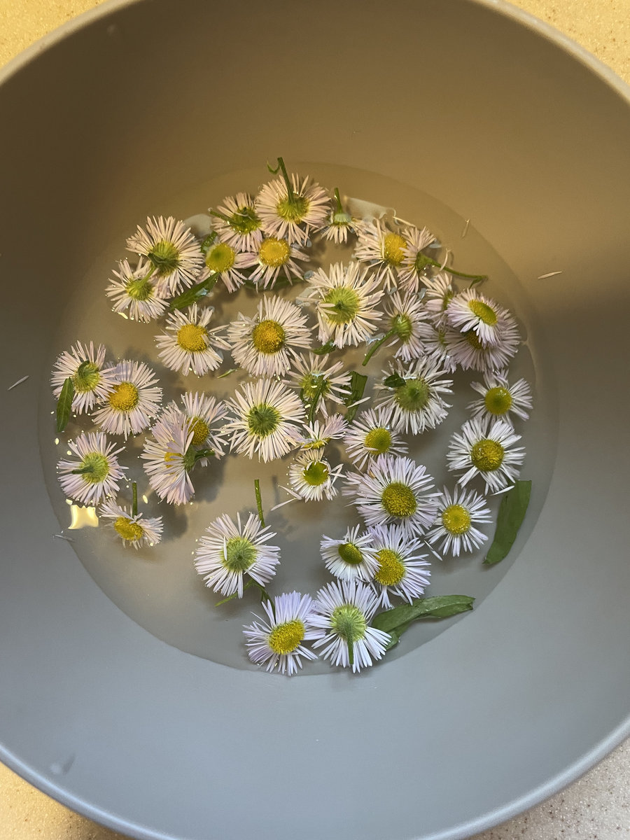 Goopy Brain | Flowery Speech