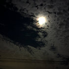 MIX. 02 - BOTHERED! | Femtanyl