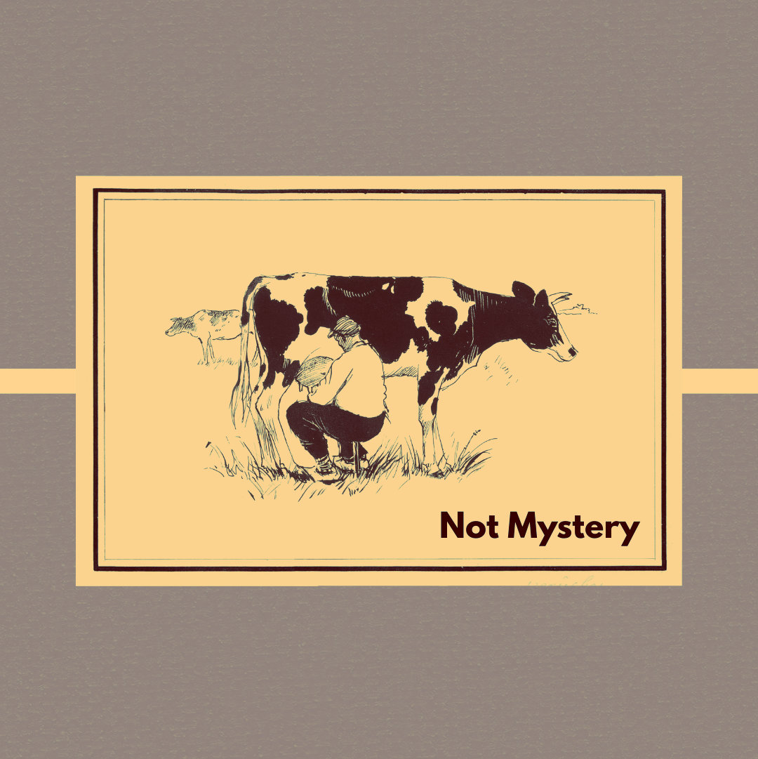 Mystery Not Mystery