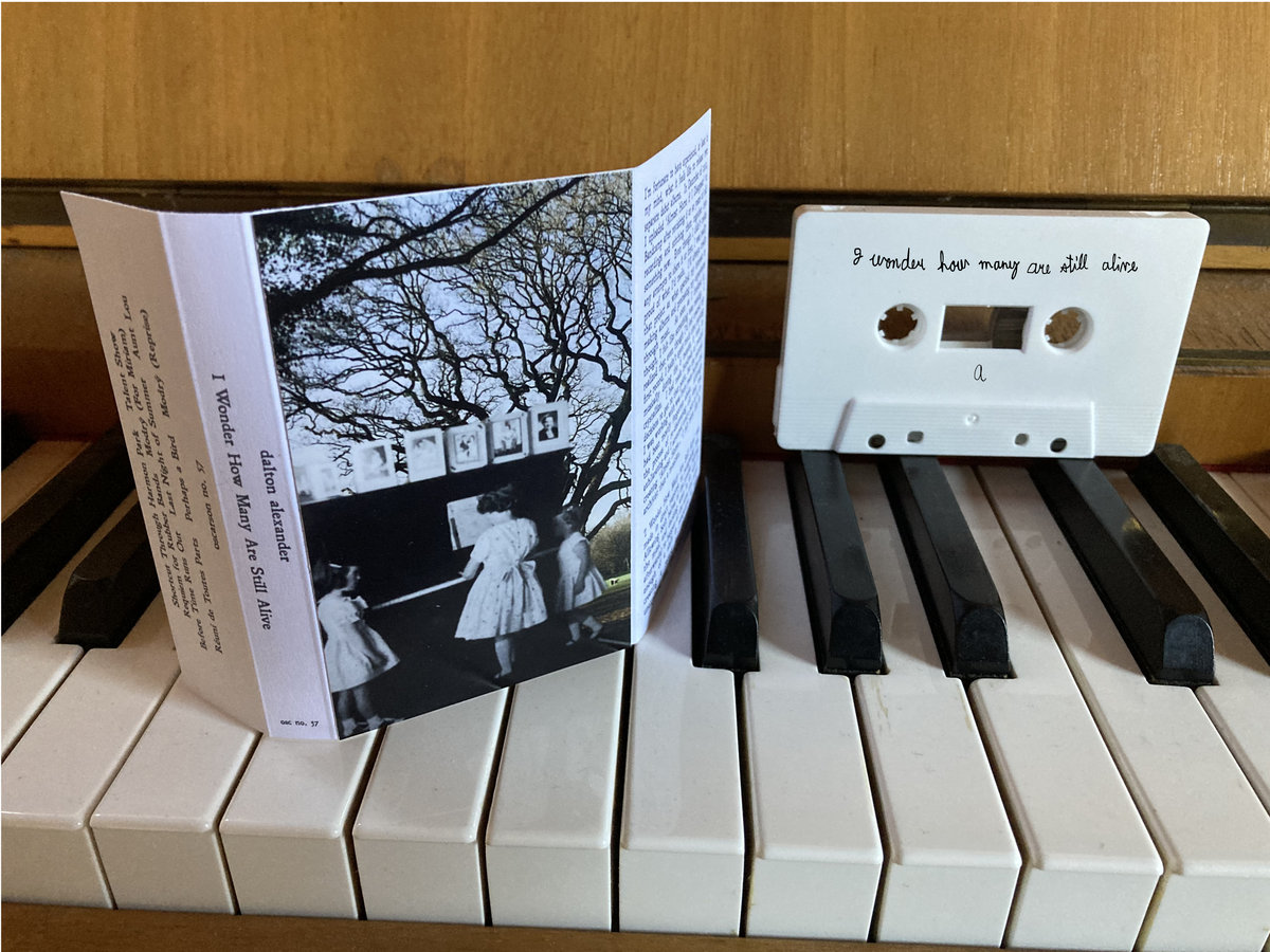 dalton alexander - I Wonder How Many Are Still Alive | dalton alexander ...