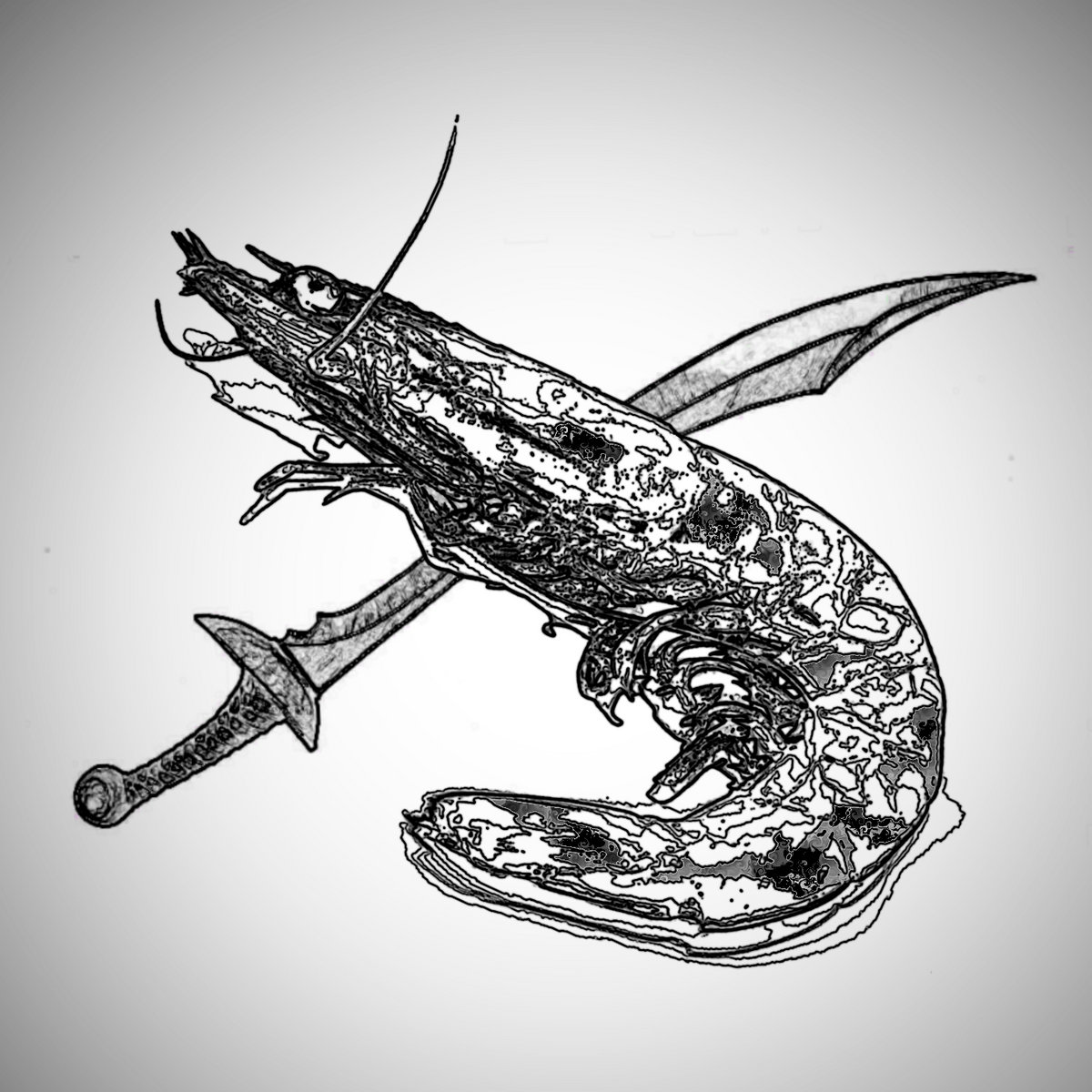 Artists | Prawn Records