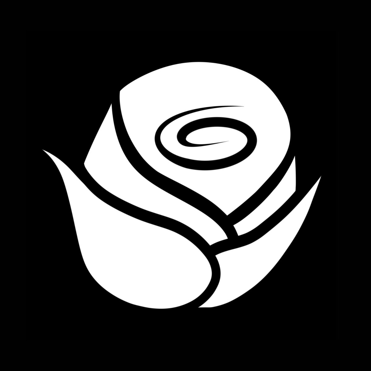 Bed of Roses | Green Roses