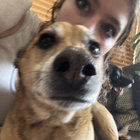 MOBO Presents: The Perfect Cast LP feat. Modern Baseball (30th ...