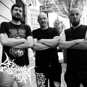 Music | Deformed Cadaver