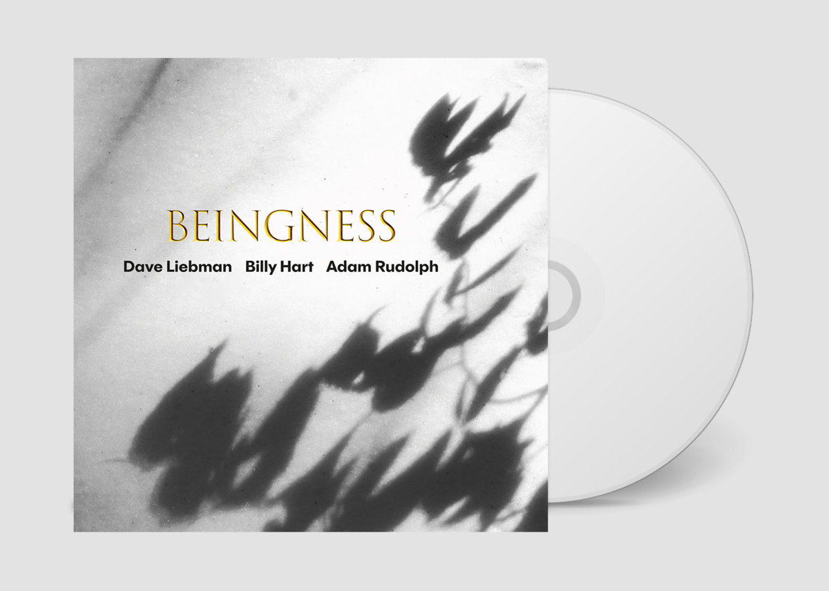 Beingness | Dave Liebman, Billy Hart, Adam Rudolph | Adam Rudolph