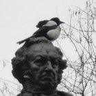 Clay | Herbert & Momoko | Matthew Herbert