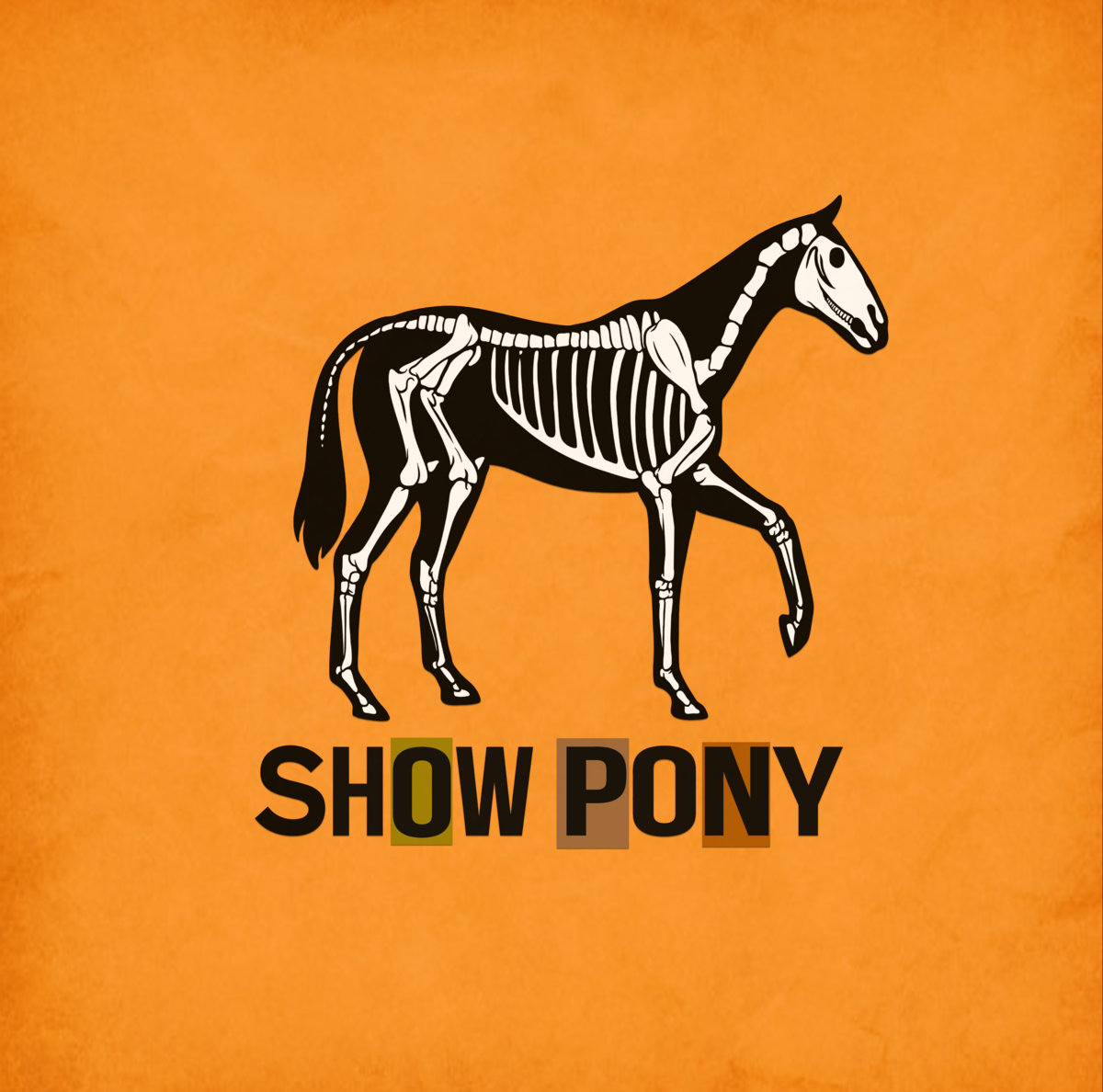 Show Pony | Show Pony