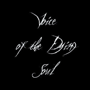 Music | Voice Of The Dying Soul