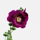 say what you like | fuvk