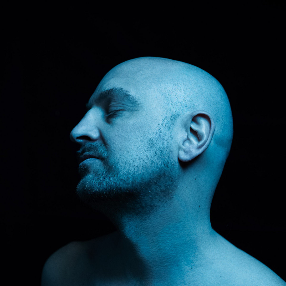 The Bug | CAPSICUM TREE | Chris Costa