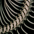 Warframe: 1999 (Official Soundtrack) | Warframe