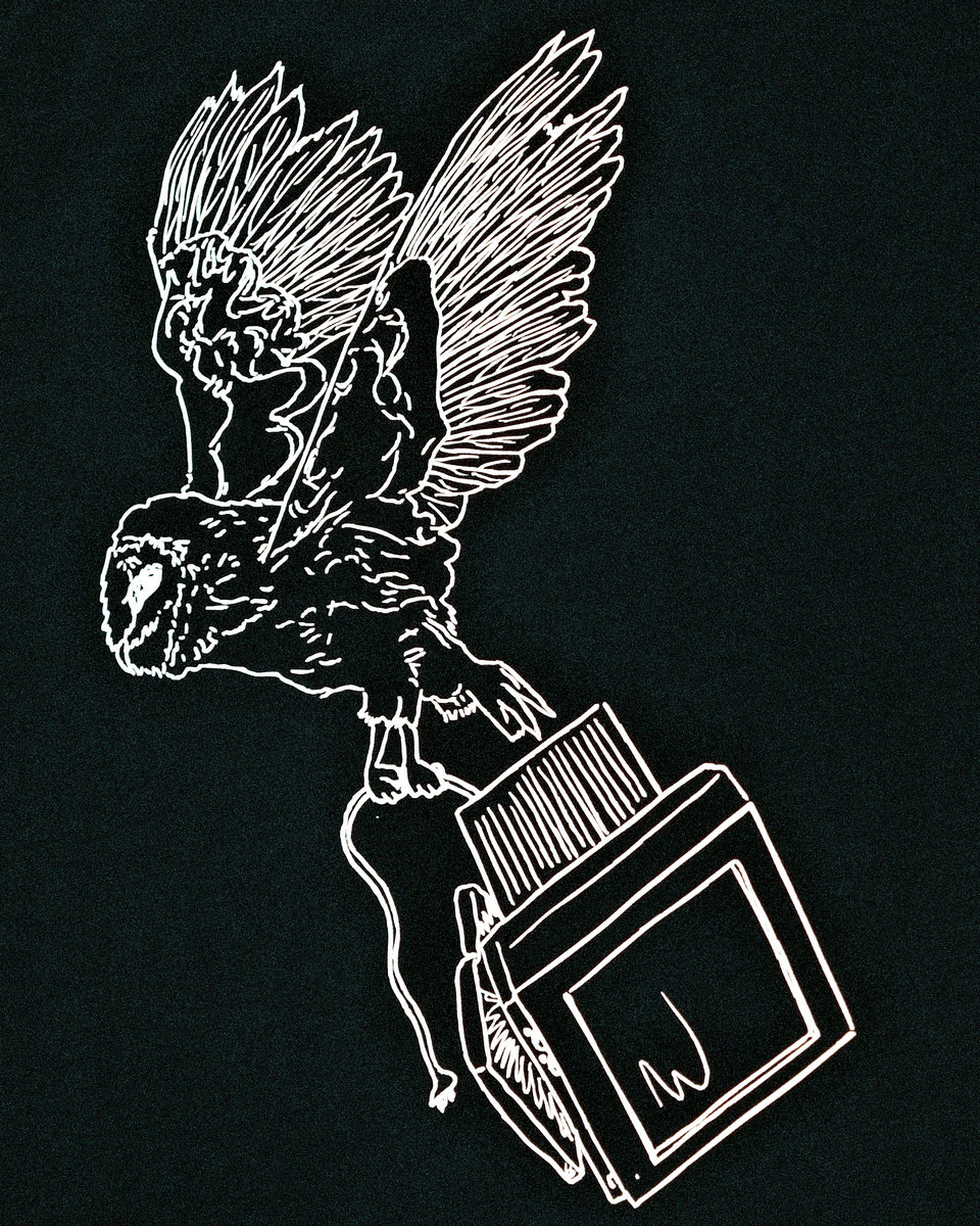 lost coast ‘eleven’ owl tee - pine green | Lost Coast