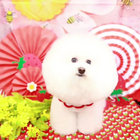 Sewerslvt Presents: Cynthoni, Pt. 1 - EP | Cynthoni