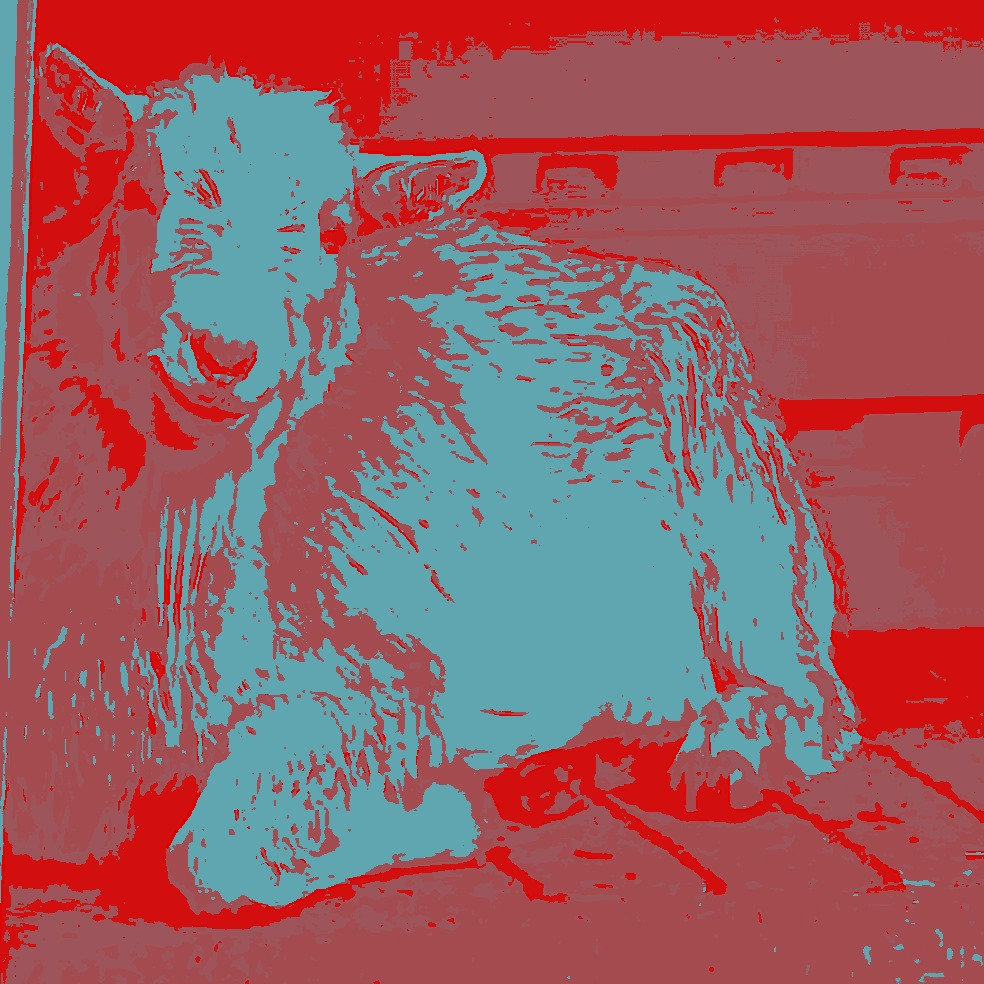 Artists | Funky Goat Records