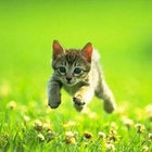 Frailty | Jane Remover