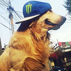 Skyrim Ambients | Liam Burrell