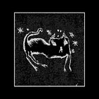 Only Dust Remains | Backxwash