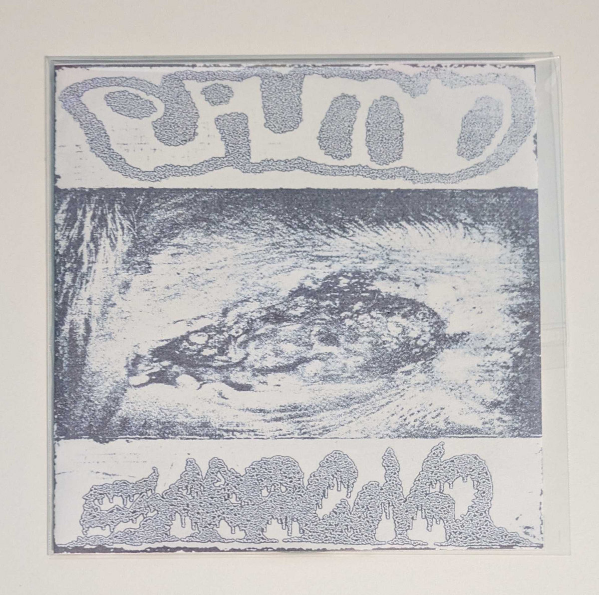 Catalog | Severed Nerve Records