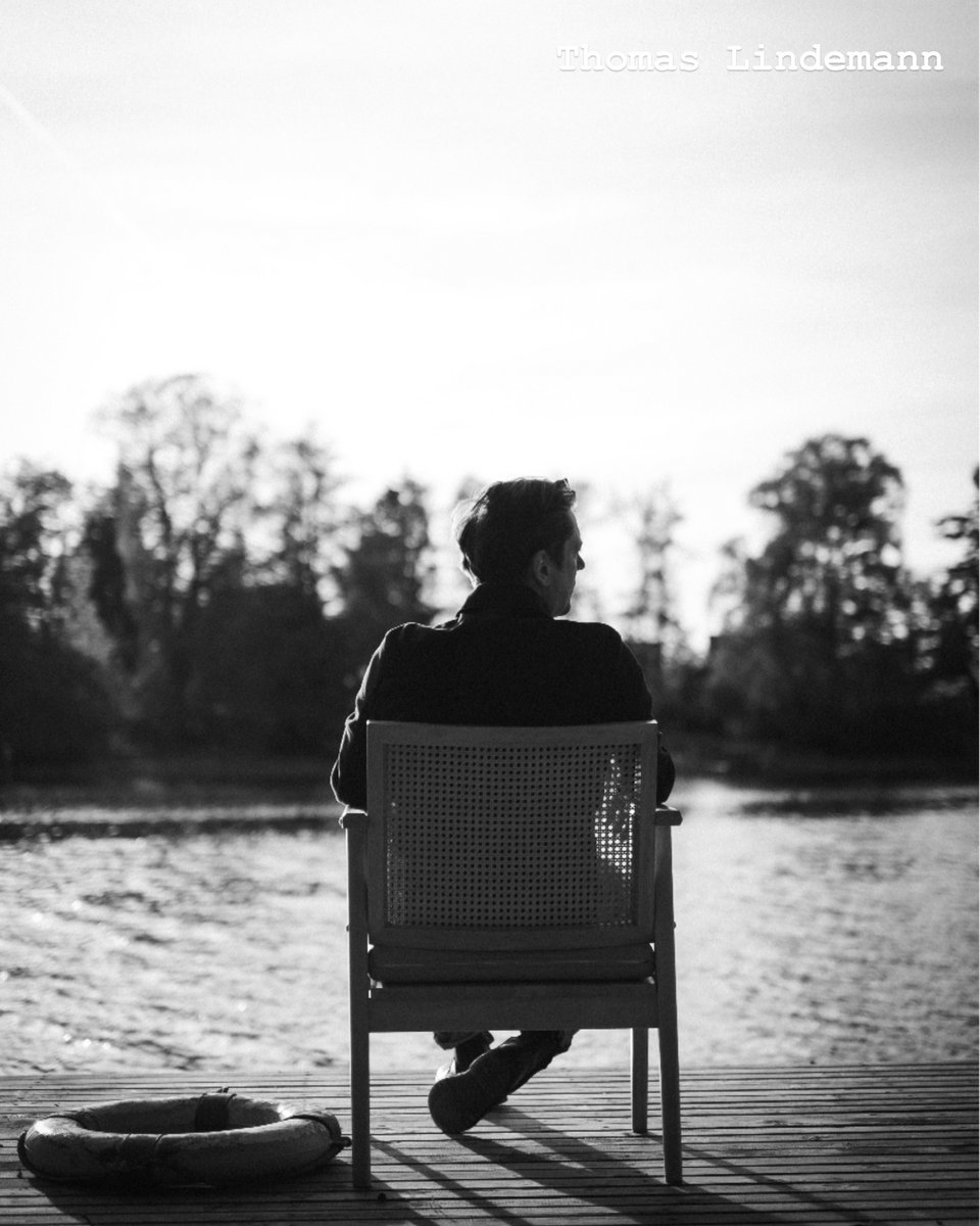 The silence never grows old | The Sonic Trees