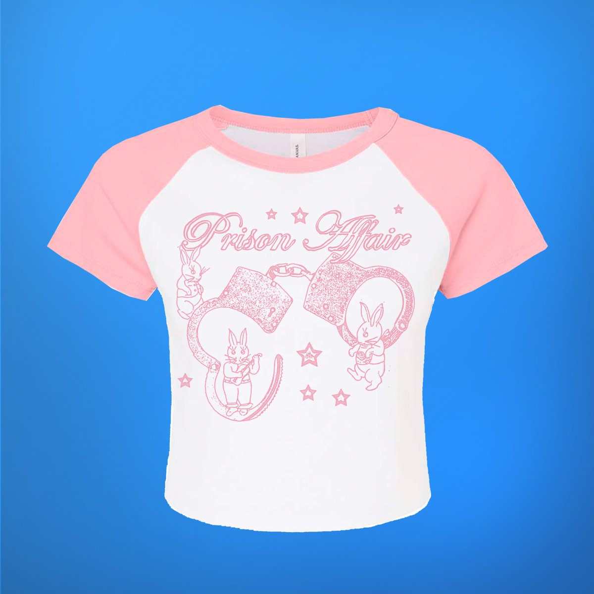 Crop Top Pink | Prison Affair