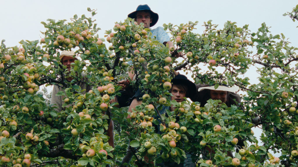 Ingen ro | Mikkel Rev